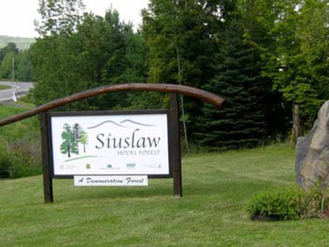 Things to do near Windham NY in Catskills | Albergo Allegria Hotel