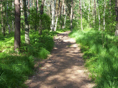 Things to do near Windham NY in Catskills | Albergo Allegria BB Hotel ...